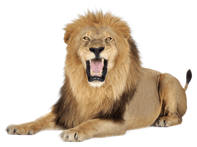 Startseite » Lederer & Partner Steuerberatung GmbH